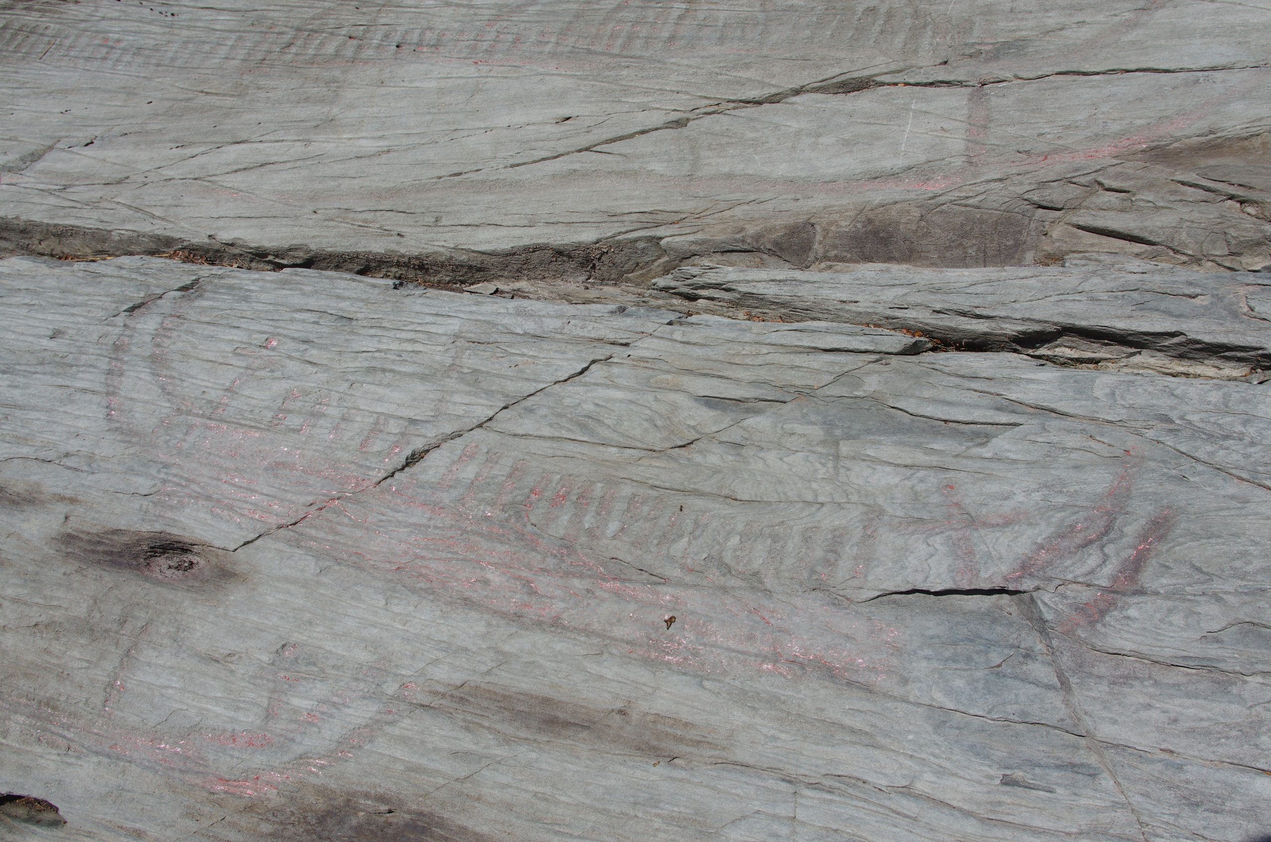 Rotstekeningen – Het Roeimuseum